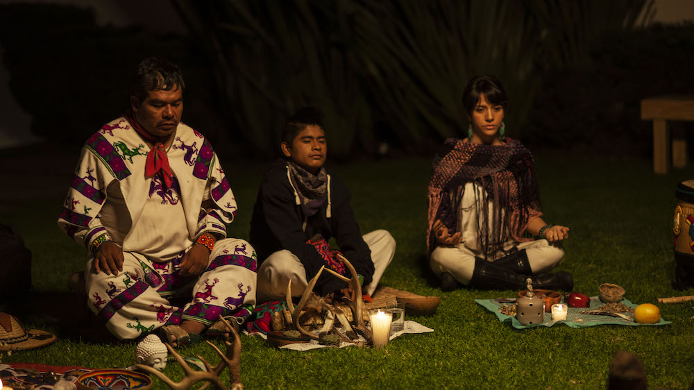 La magia a distintos ritmos: El Sueño del Mara'akame - Meow Magazine ...