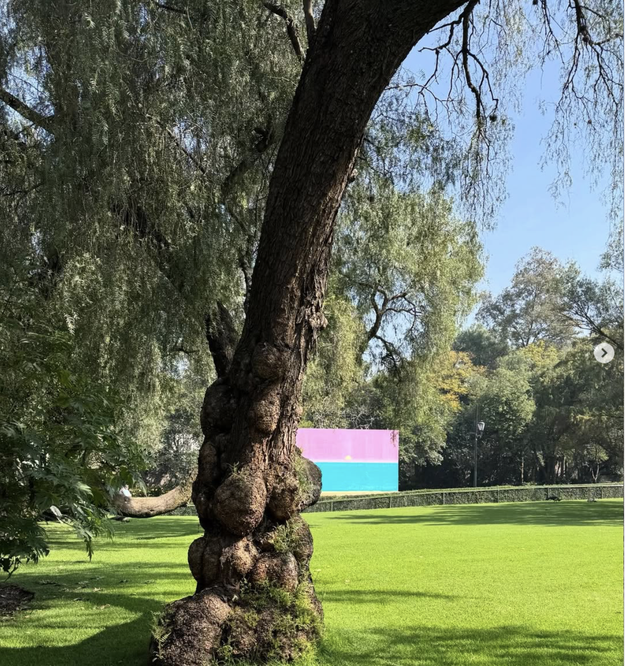 MEOW Guide: Semana del Arte CDMX 2026 - Meow Magazine | Meow Magazine ...